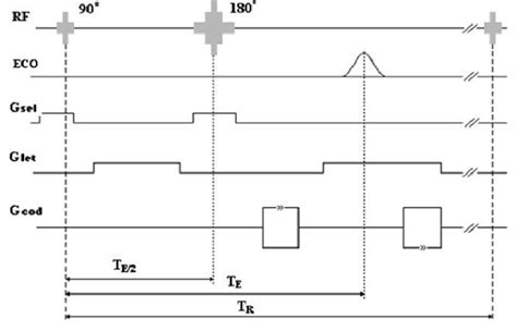 Spin Echo Se Sequence Time Diagram Of The Rf Pulse And The Magnetic Download Scientific