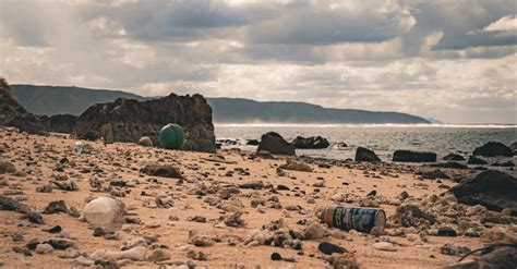 경치 기후 대청소 더러운 해변 모래 바다 바다 경치 바위 병 보존 뿔뿔이 흩어진 생태 생태계 쓰레기 아이슬란드 에코 연안의 오염 일본 자연
