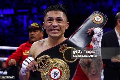 Lara Boxer Photos And Premium High Res Pictures Getty Images