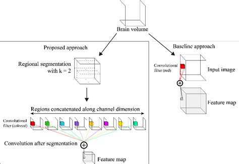Figure From A Domain Guided CNN Architecture For Predicting Age From Structural Brain Images