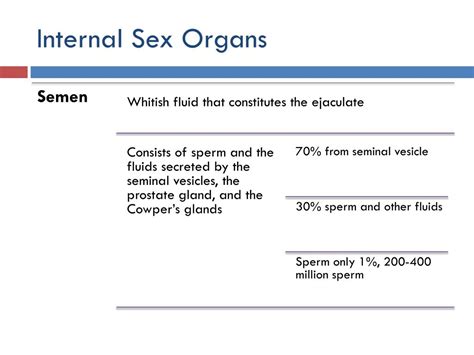 Ppt Male Sexual Anatomy And Physiology Powerpoint Presentation Free