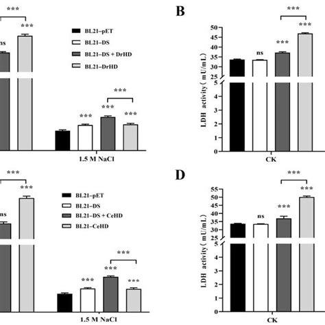 Lactate Dehydrogenase Activity Analysis A Analysis Of Lactate Download Scientific Diagram