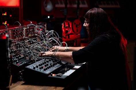 Moog Analog Synthesizer Kit With Cv Expansion Board In Nepal At Npr 189998 Rating 4 8