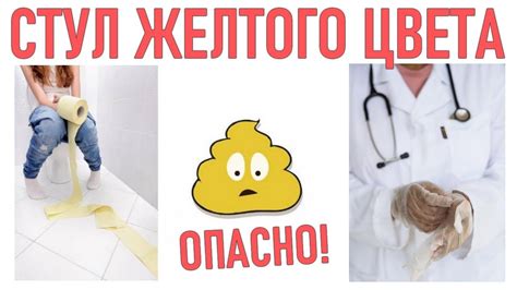 Светлый цвет кала светлый кал у ребенка и взрослого причины