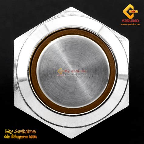 สวิทช์ สแตนเลส กดติดปล่อยดับ หัวแบน กันน้ำ มีไฟสีเหลือง ขนาด16mm 12v5a