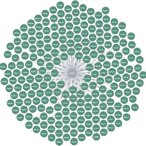 The Bitcoin Blockchain Structure [8] Download Scientific Diagram