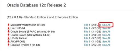 Instalación Y Configuración De Oracle Odbc Gateway 12c 18c 19c En Windows