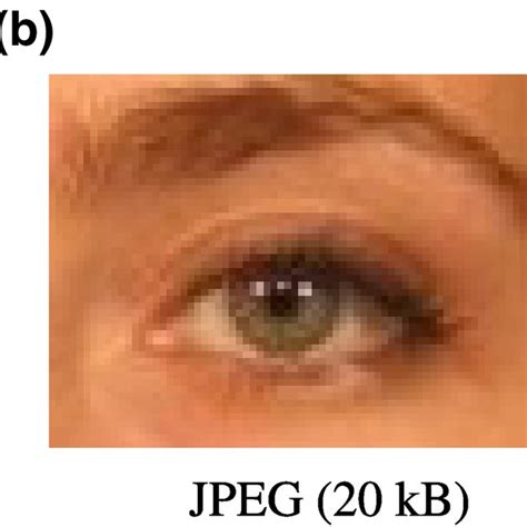 Differential Retouching Detection Using Arcface Features Training On Download Scientific