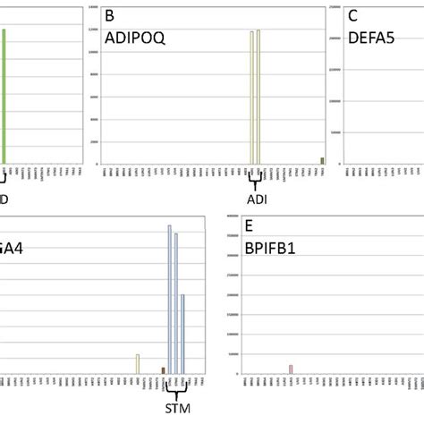 Tissue Specific Gene Expression Exemplified By Individual Gene Download Scientific Diagram