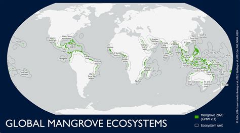 Red List Of Mangrove Ecosystems Iucn