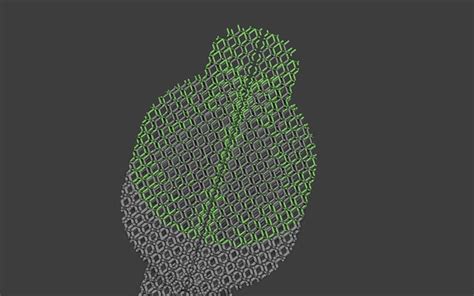 Lattice Module For Materialise Magics