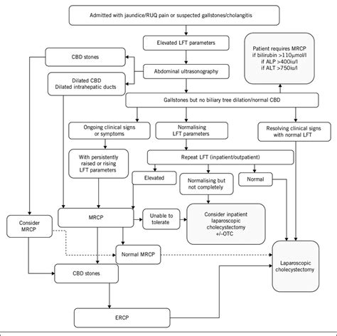 algorithm for the investigation of common bile duct stones excluding