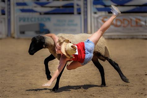 400 Free Cowgirl And Rodeo Images Pixabay