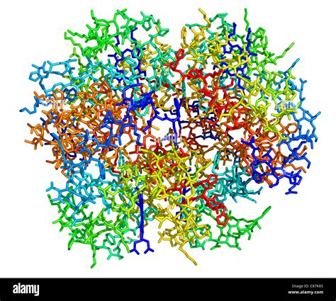 Structure Of Hemoglobin
