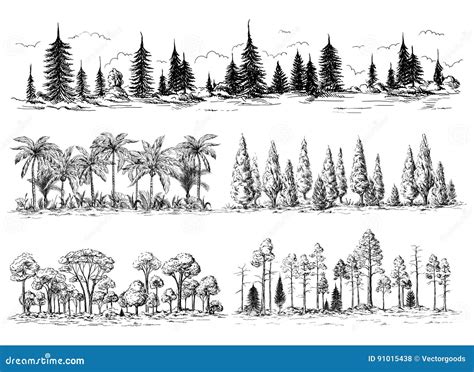 Set Of Different Landscapes With Trees Stock Vector Illustration Of
