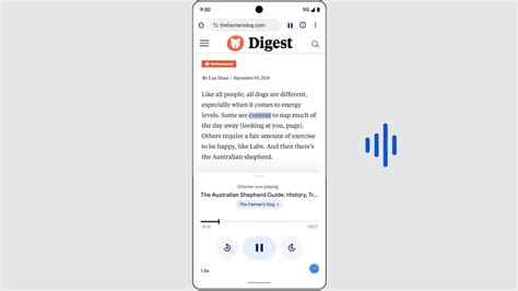 Android「chrome」 ️このページを読み上げ提供 Jetstream