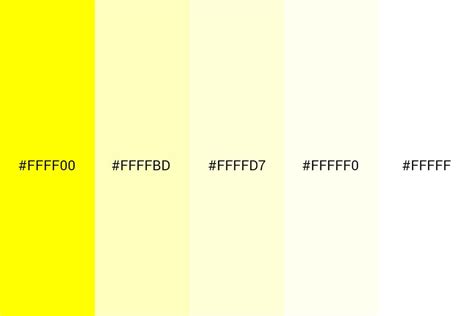 Everthing About Ivory Color An Ultimate Guide