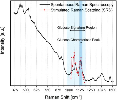 Recorded Unprocessed Spontaneous Black Line And Simulated Red Download Scientific Diagram