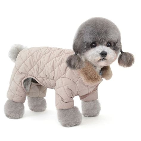 따뜻한 강아지 패딩 추천 15가지 하나만 입어도 충분해요 비마이펫 라이프