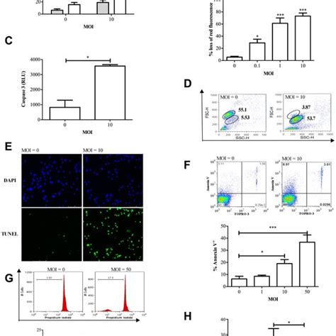 Cd14 Monocytes Reconstitute Apoptosis In Cd3 T Cells Following