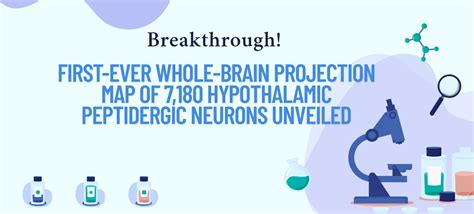 Brain 🧠 Client Article Nat Neurosci Breakthrough First Ever