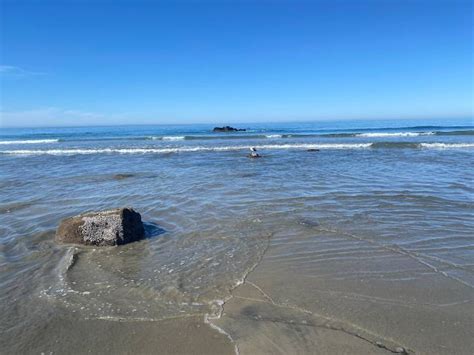 Blacks Beach San Diego What To Expect Timings Tips Trip Ideas