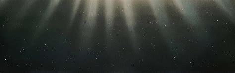 Warp Ai Coding Tools