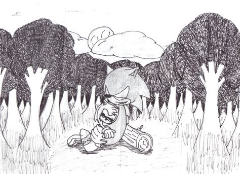 Sonamy Werehog By Cee Ceethehedgie On Deviantart