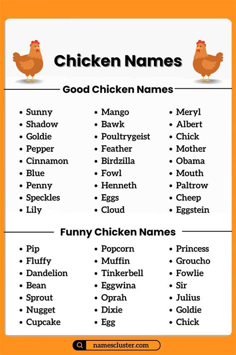220 Best Cute Clever And Popular Chicken Names