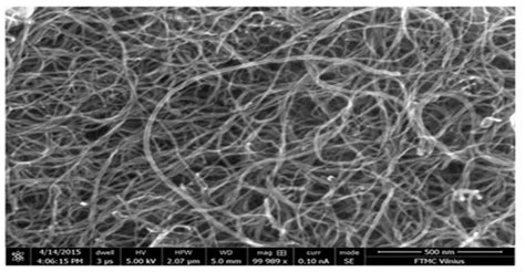 Sem Image Of Carbon Nanotube Based Nanostructure Download Scientific