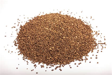 Biji Zaitun Yang Dihancurkan Menggunakan Biofuel Komponen Biofuel Energi Biomassa Foto Stok