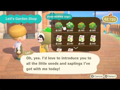 Animal Crossing New Horizons Shrubs List All Shrubs Available In