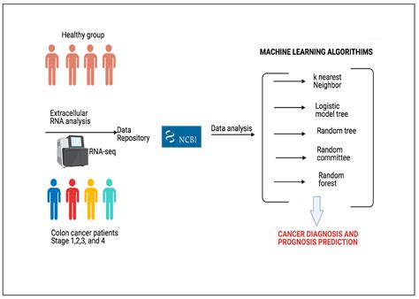 Machine Learning Analysis Of Rna Seq Data For Diagnostic And Prognostic