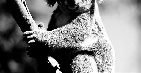 you should care about album on imgur