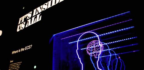 Deep Learning Algorithms And Software Development