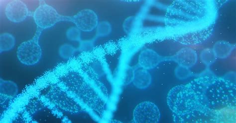 Con Un Modelo Matemático Explicaron Por Qué Los Genomas De Los Seres Vivos Conservan El “adn