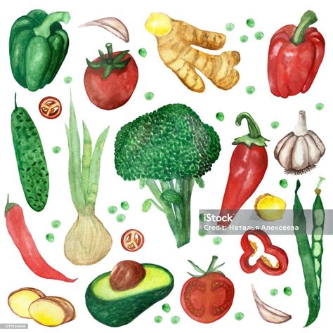수채화 손 그린 자연 건강 채식 주의 자 음식과 초본 향신료 세트 구성 녹색 브로콜리 피망 완두콩 오이 아보카도 양파 노란 생강 뿌리와 붉은 토마토 칠리 페퍼 가지 채소에