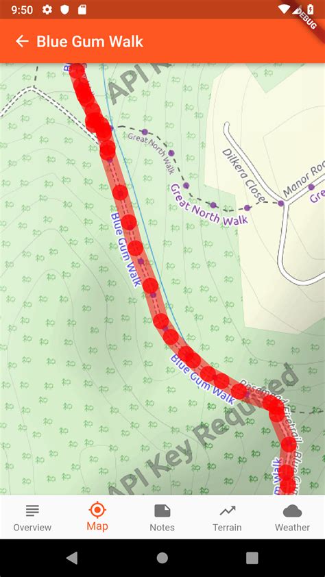Polyline Transparency Denser At Each Point · Issue 347 · Fleafletfluttermap · Github