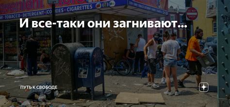 И все таки они загнивают Путь к свободе Дзен