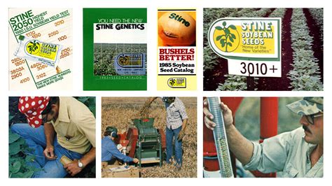 History Stine Seed