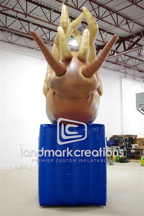 Home Paramount Pest Control Inflatable Cockroach Replica