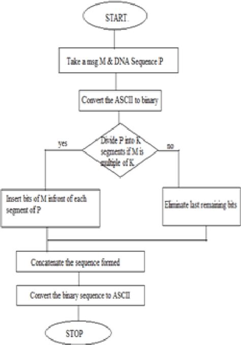 figure 1 from fpga based data hiding methods using dna cryptography