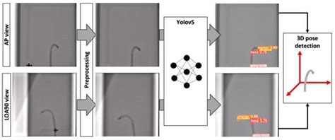 Use Of Yolo Detection For 3d Pose Tracking Of Cardiac Catheters Using Bi Plane Fluoroscopy