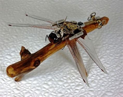 Insect And Nano Drones