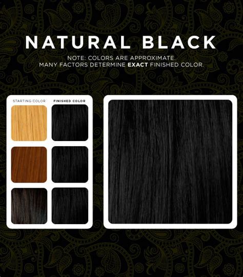 Best Black Color For Hair At Nancy Spradlin Blog