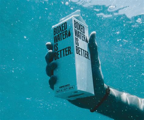 文章示例 Notionnext文档