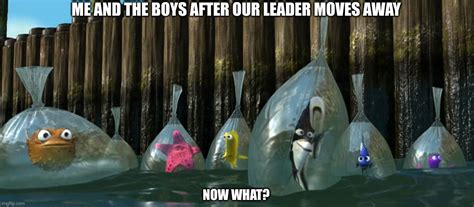 Black Finding Nemo Memes The Best Finding Nemo Memes Memedroid