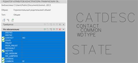 Solved Properties Of The Attributes Of The Optional Section