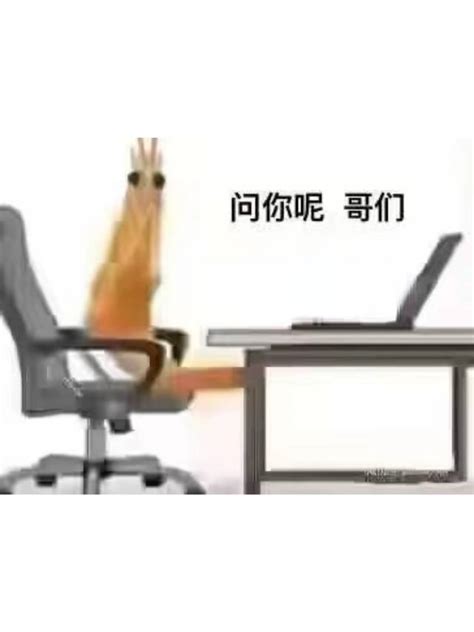 搞笑表情包：大虾坐电脑前举手，配文 问你呢 哥们”表情包图片动图 求表情网斗图从此不求人
