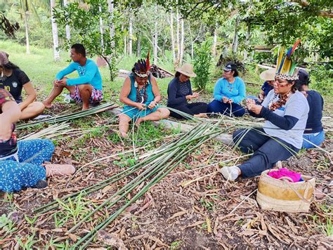 Tramas Ancestrais Arte Cultura E Saberes Dos Povos Kokama E Kaixana